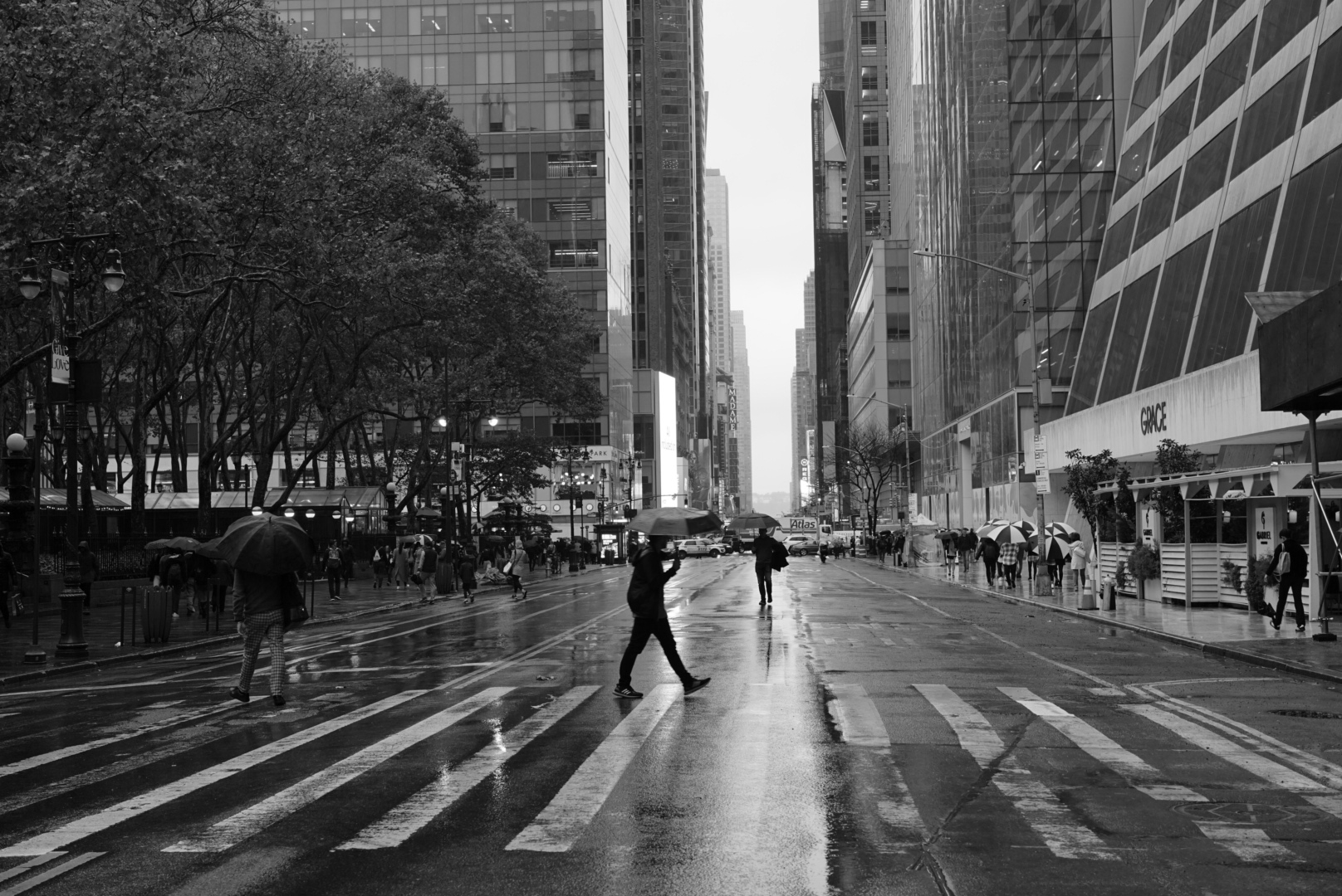 Voice of Unreason – While I navigate through this world as a high ...